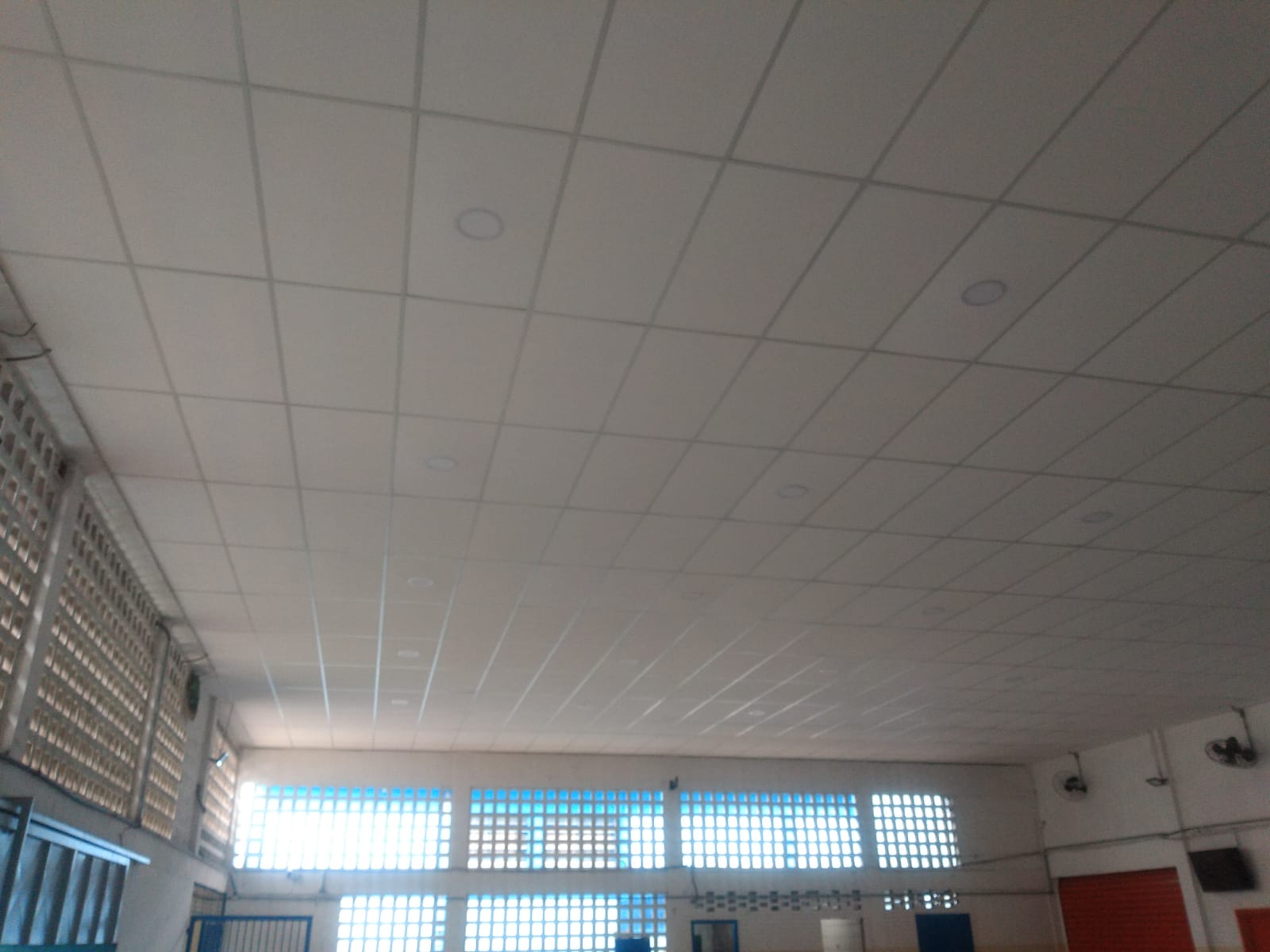 Forro de fibra para Teto